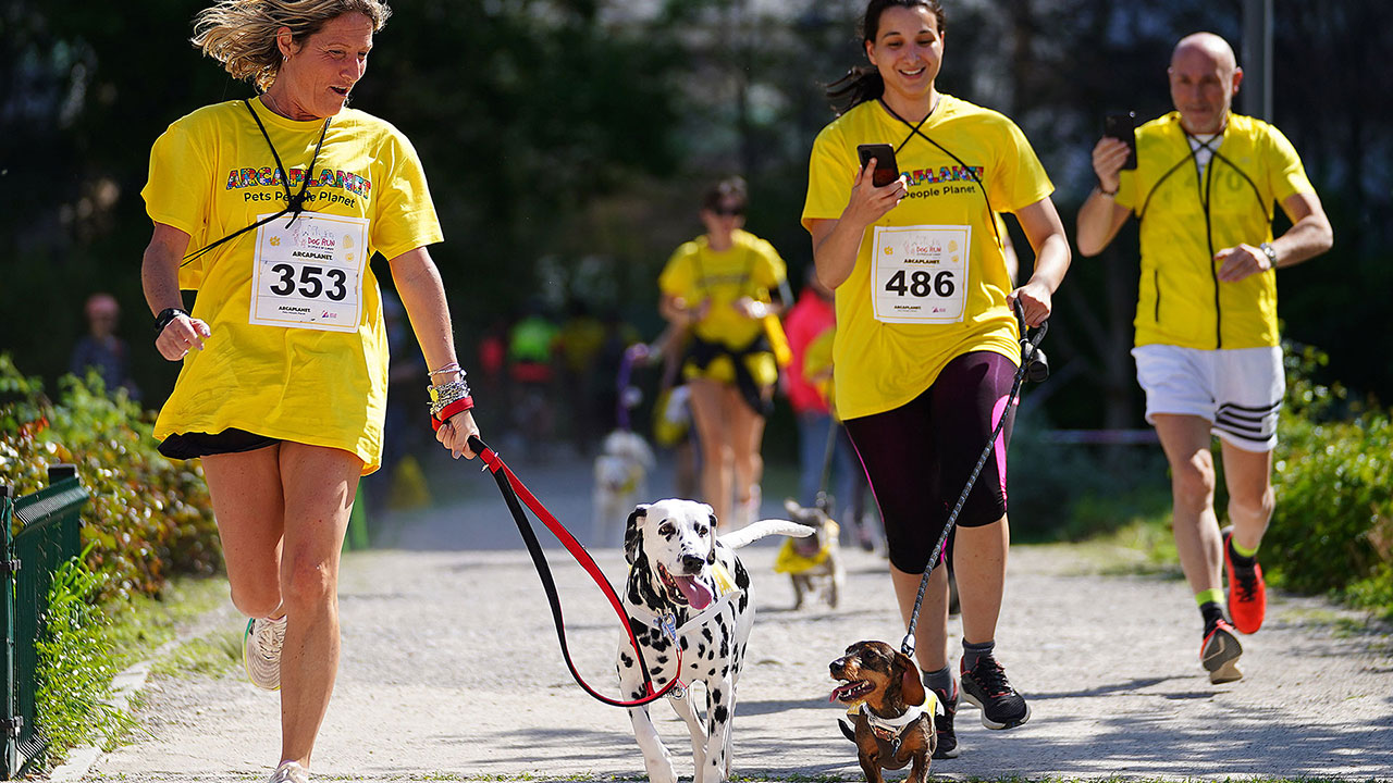 Dog Run Arcaplanet 2024 | Best Of - Milano Marathon 2025